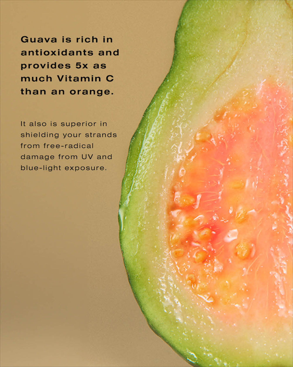 Guava Protect & Repair Shampoo – Ceremonia